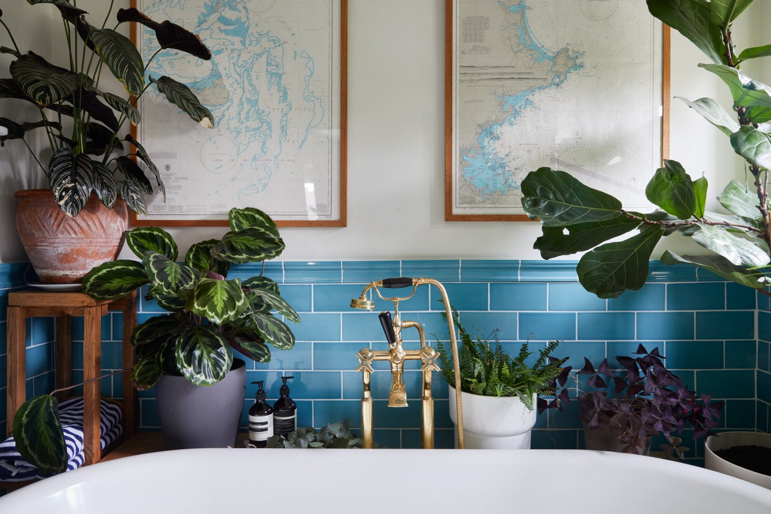 Sophia Cook Home | Helen Cathcart