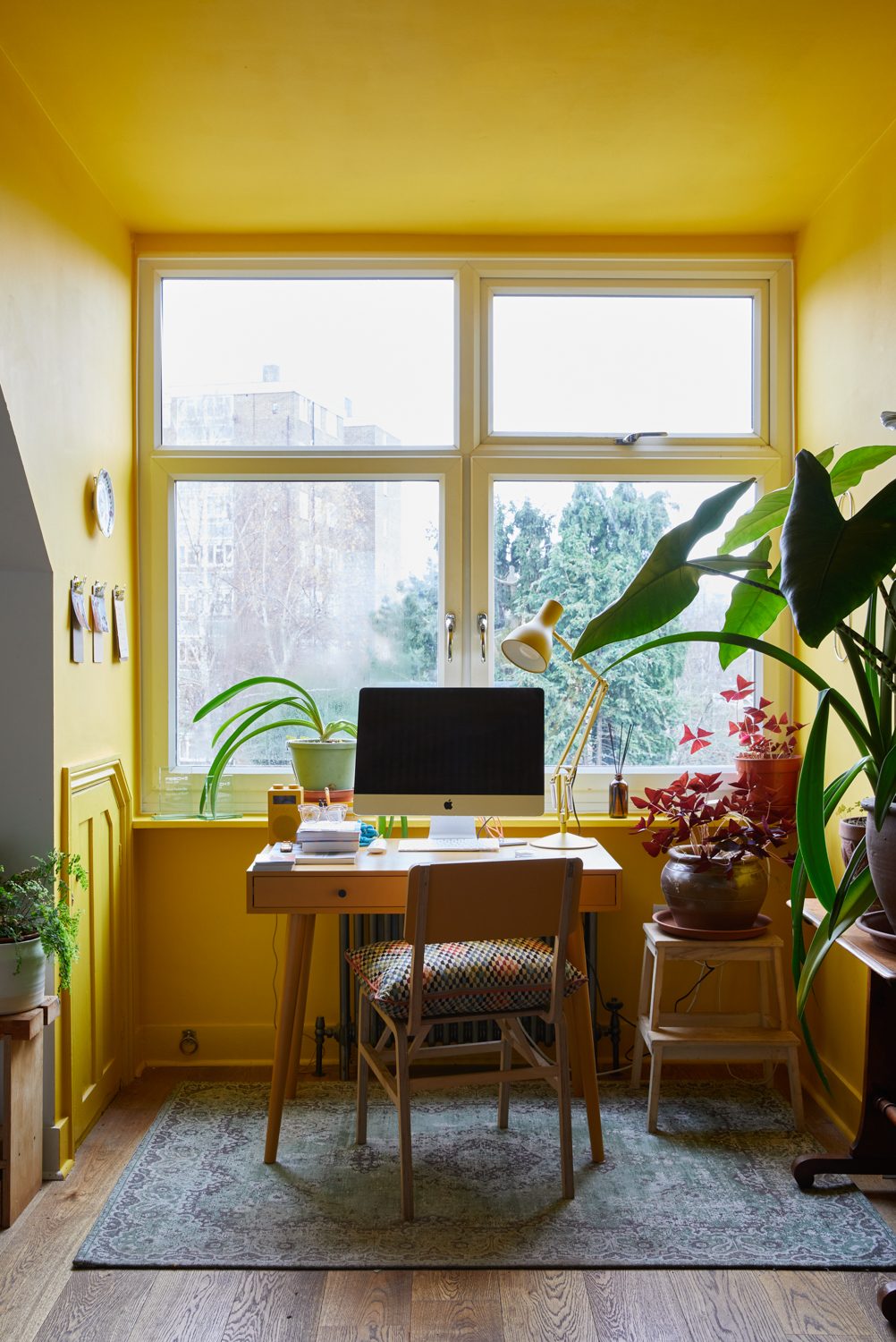 Sophia Cook Home | Helen Cathcart